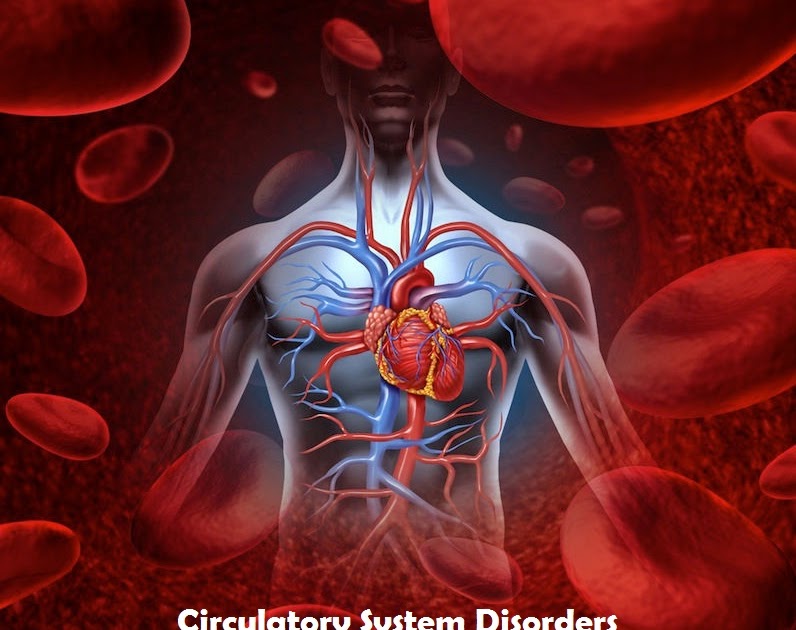 Circulatory Disorder - Disorders of blood and lymph circulation