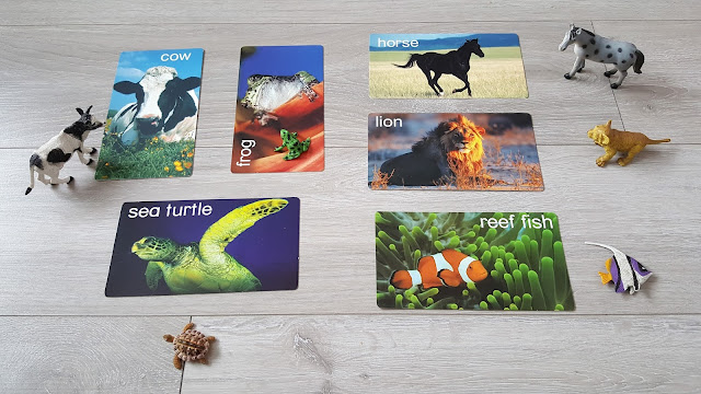 How to Use Flashcards for Language Learning | Multicultural Motherhood