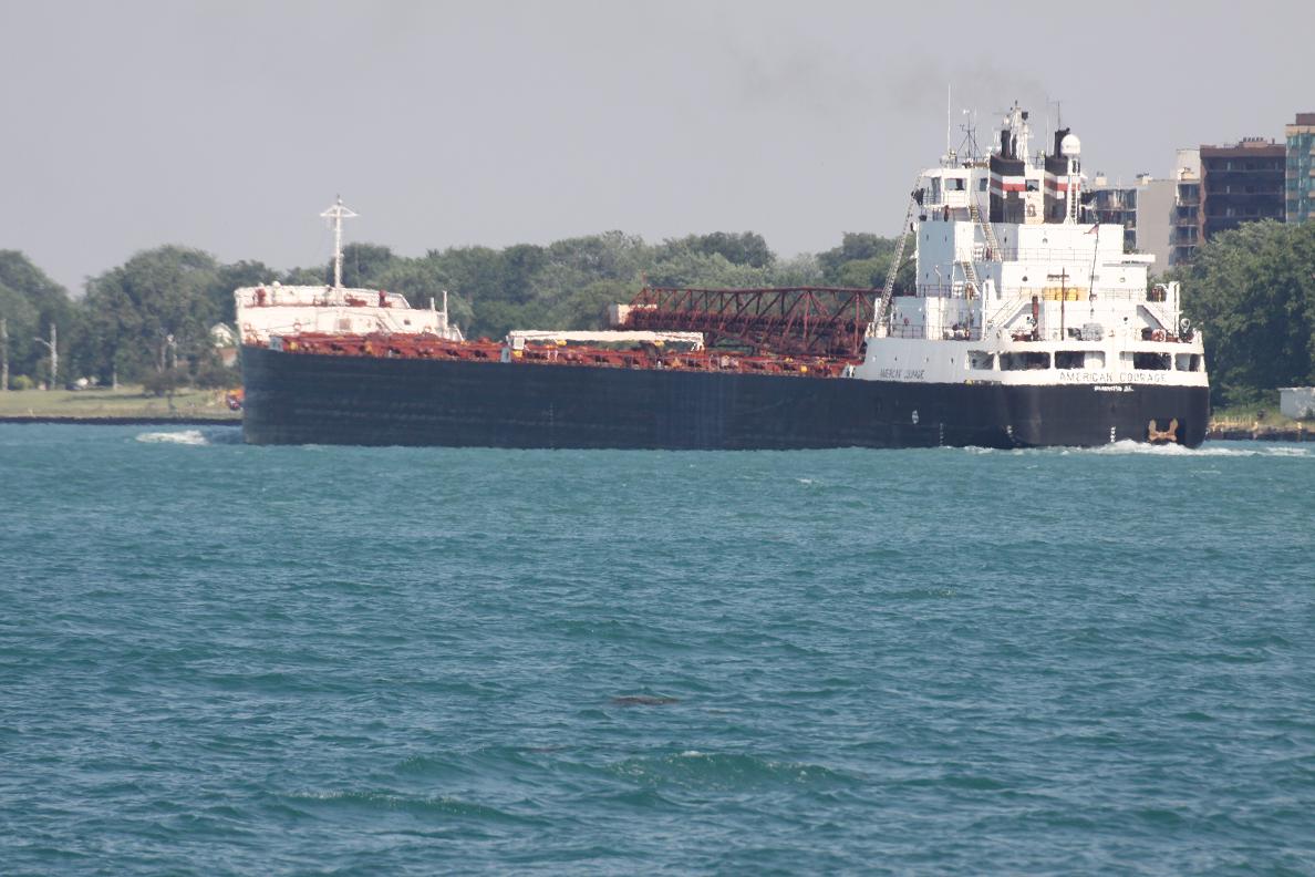 Michigan Exposures: The American Courage