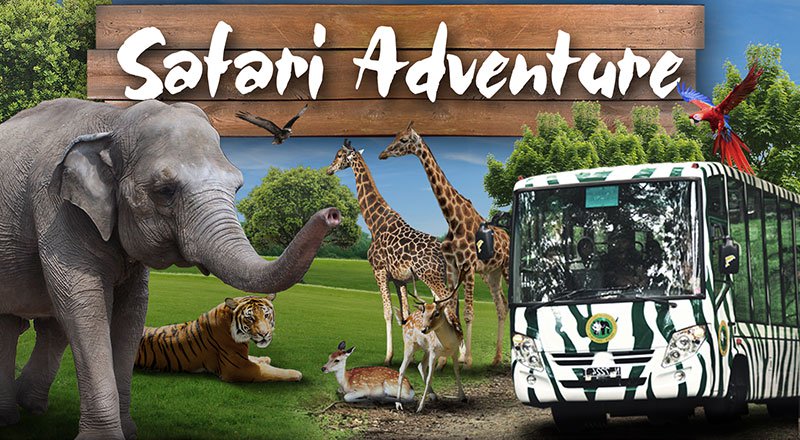 Taman Safari Indonesia (TSI) Bogor - Info Lengkap Edisi 2 - duaistanto Journey