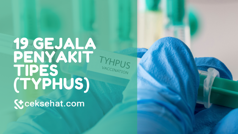 19 GEJALA PENYAKIT TIPES ( TIFUS)