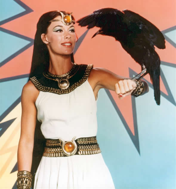 Life Style: Ícone Fashion, Diva Preferida, Ídolo...... Conheça um pouco ...