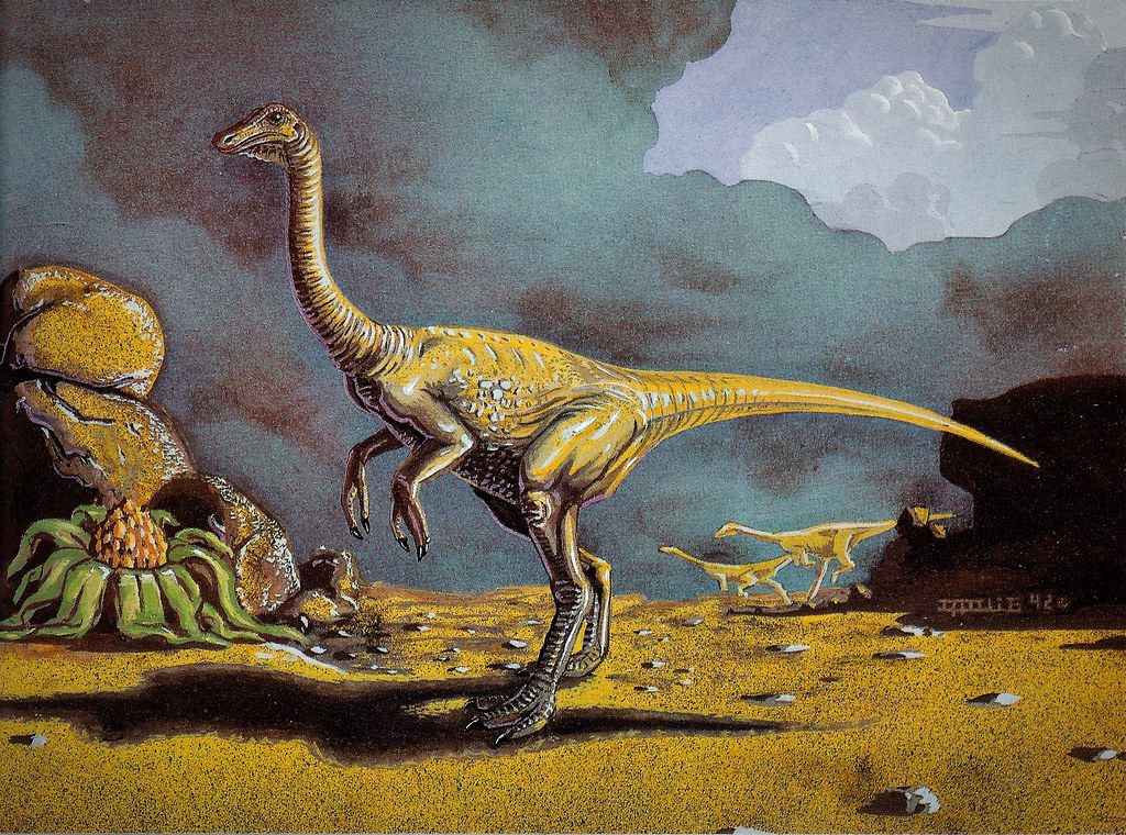 Dinosaurios y Vida Prehistórica: El Gallimimus, el dinosaurio avestruz ...