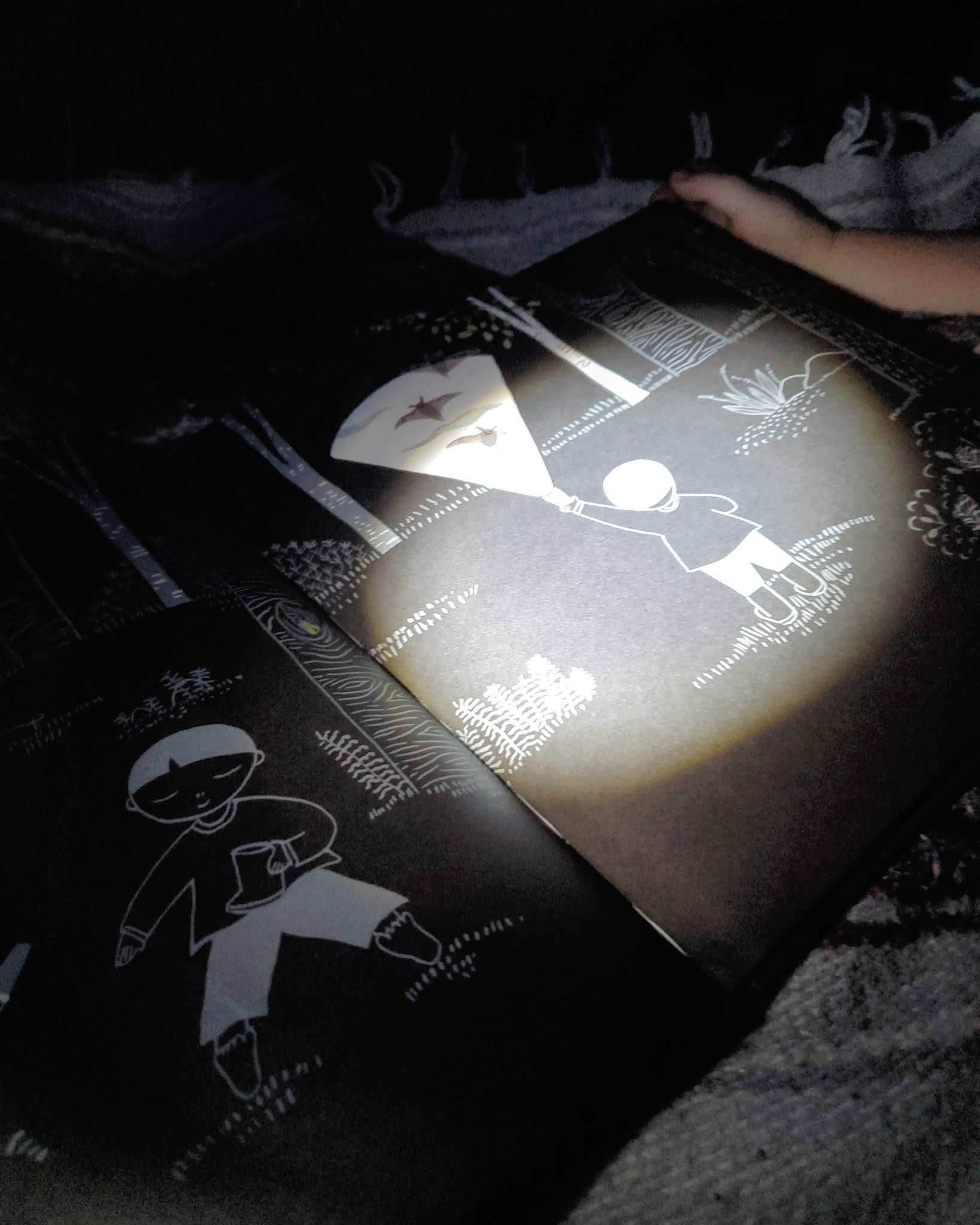 Hello, Wild Things: Flashlight Book Basket