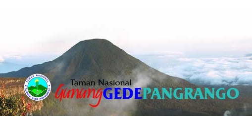Adventure And Bike: Tips Mendaki Gunung Gede Pangrango