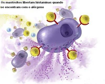 BioSegredos: Desequilibrios e Doenças do Sistema Imunitário (parte I)