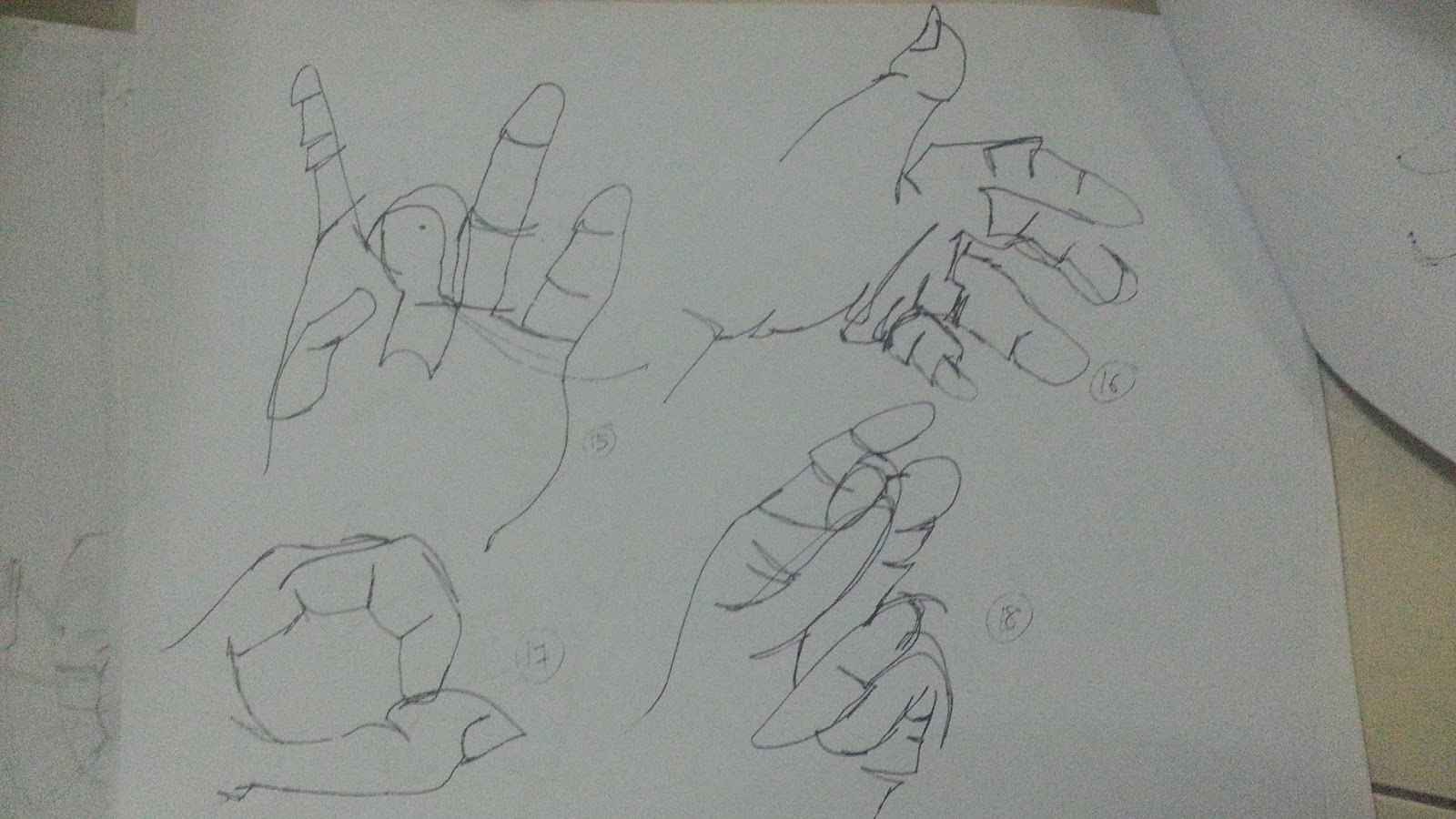 Basic Drawing: Basic Drawing | Assignment 4 | Contour Drawing