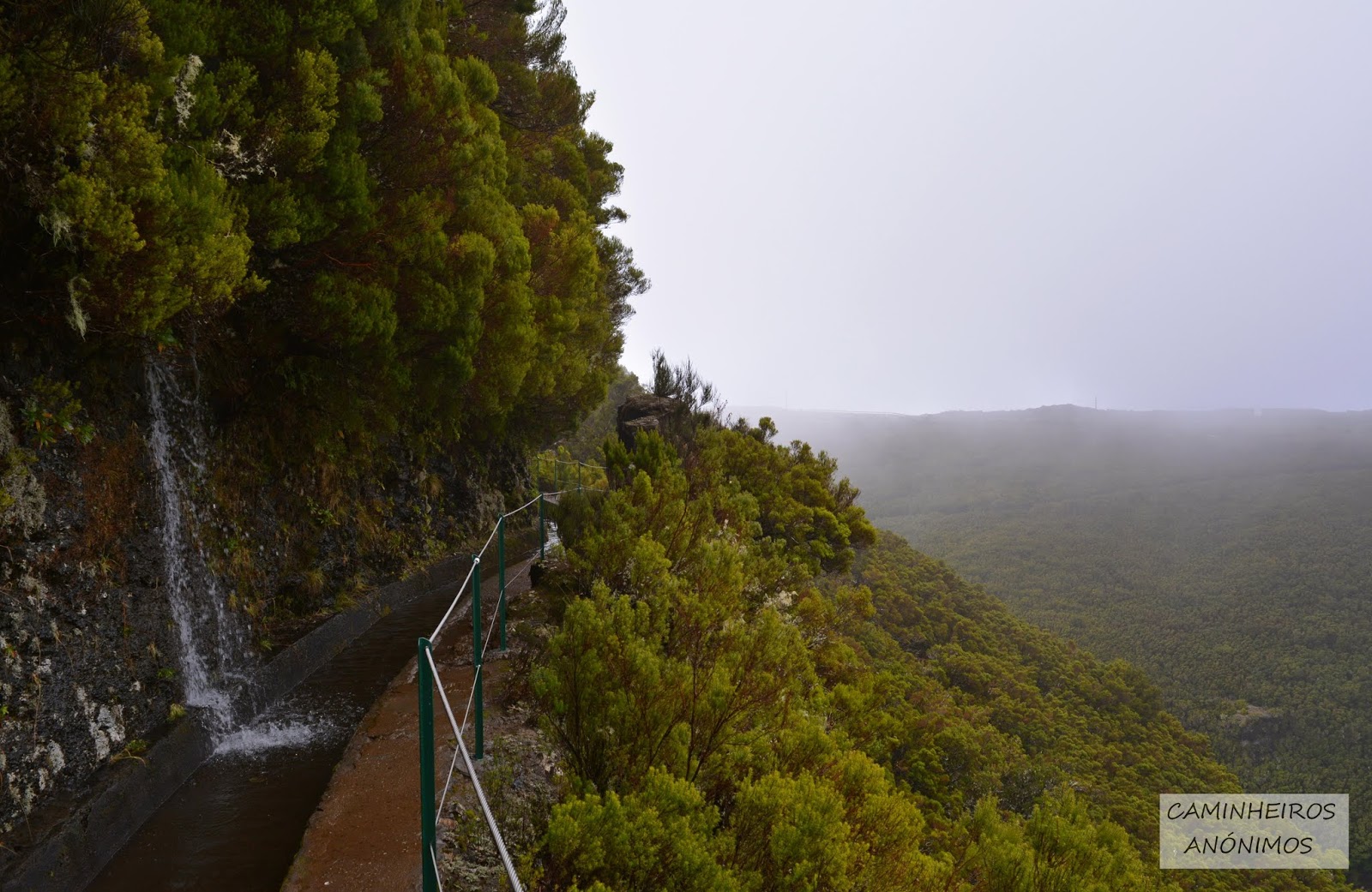 Caminheiros Anónimos Levadas da Madeira : Levada Grande do Paul (Calheta)