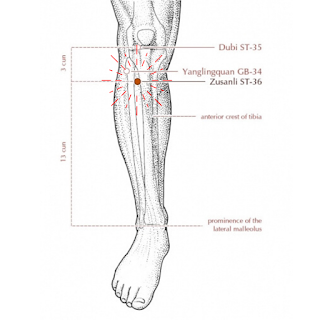 Jiling Lin, L.Ac. • Acupuncturist, Herbalist, Yoga Teacher: acupuncture ...