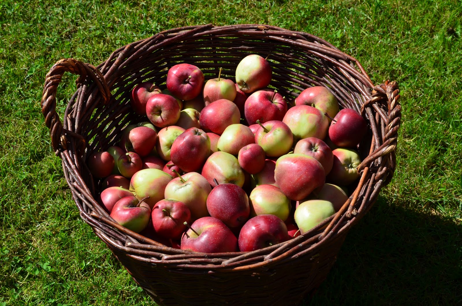 Miri's Kitchen: Es ist wieder Apfelzeit!!!