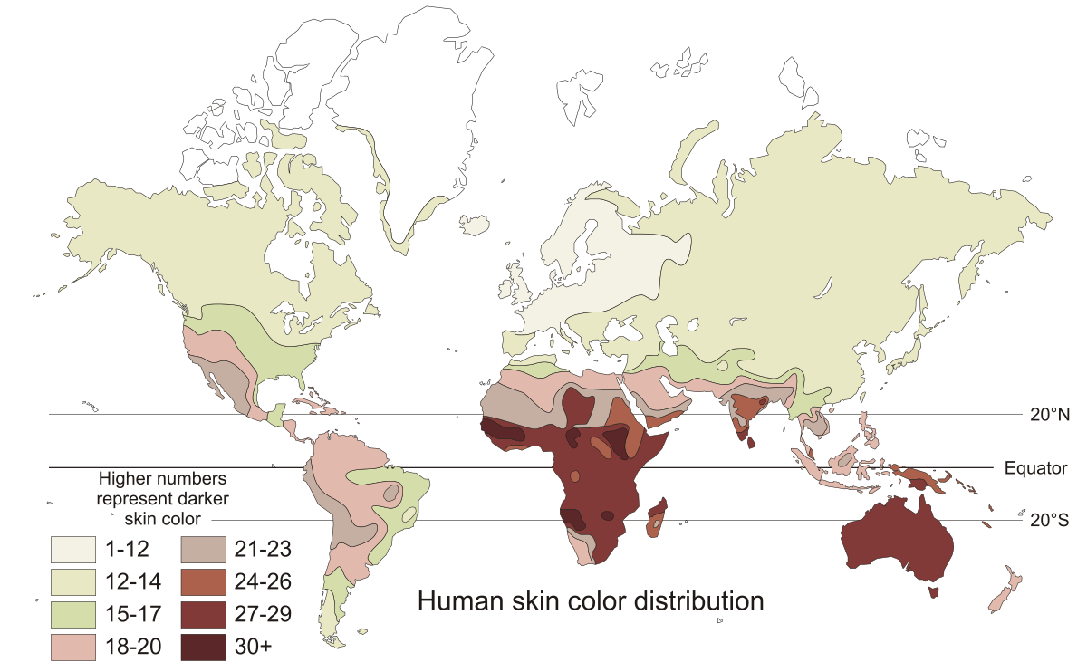 ¿Por qué las personas tenemos diferentes colores de piel?