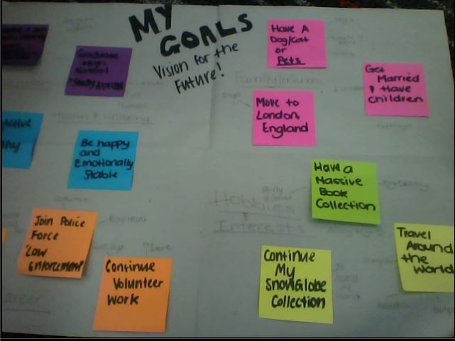 Caitlin's Careers Week Blog: My Goals; Vision Board