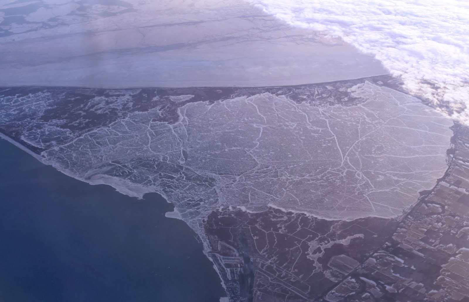 Monkey Puzzle Blog: Long Point Inner Bay