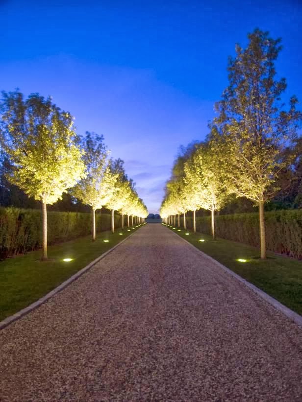 lighted pathway | Your Blog Title