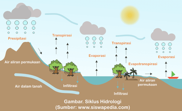 Biologi Kelas 10: Proses Daur Air : Pengertian, Tahapan, dan Gambarnya