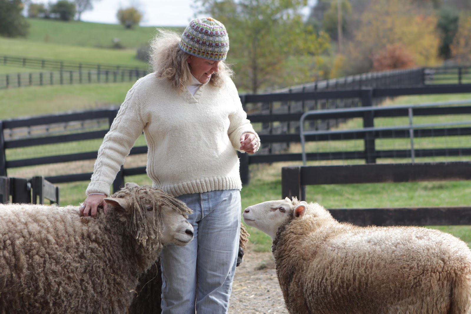 (Inter) National Hug A Sheep Day