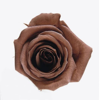 El Sentido Del Saber: El Significado De Las Rosas Por Su Color.