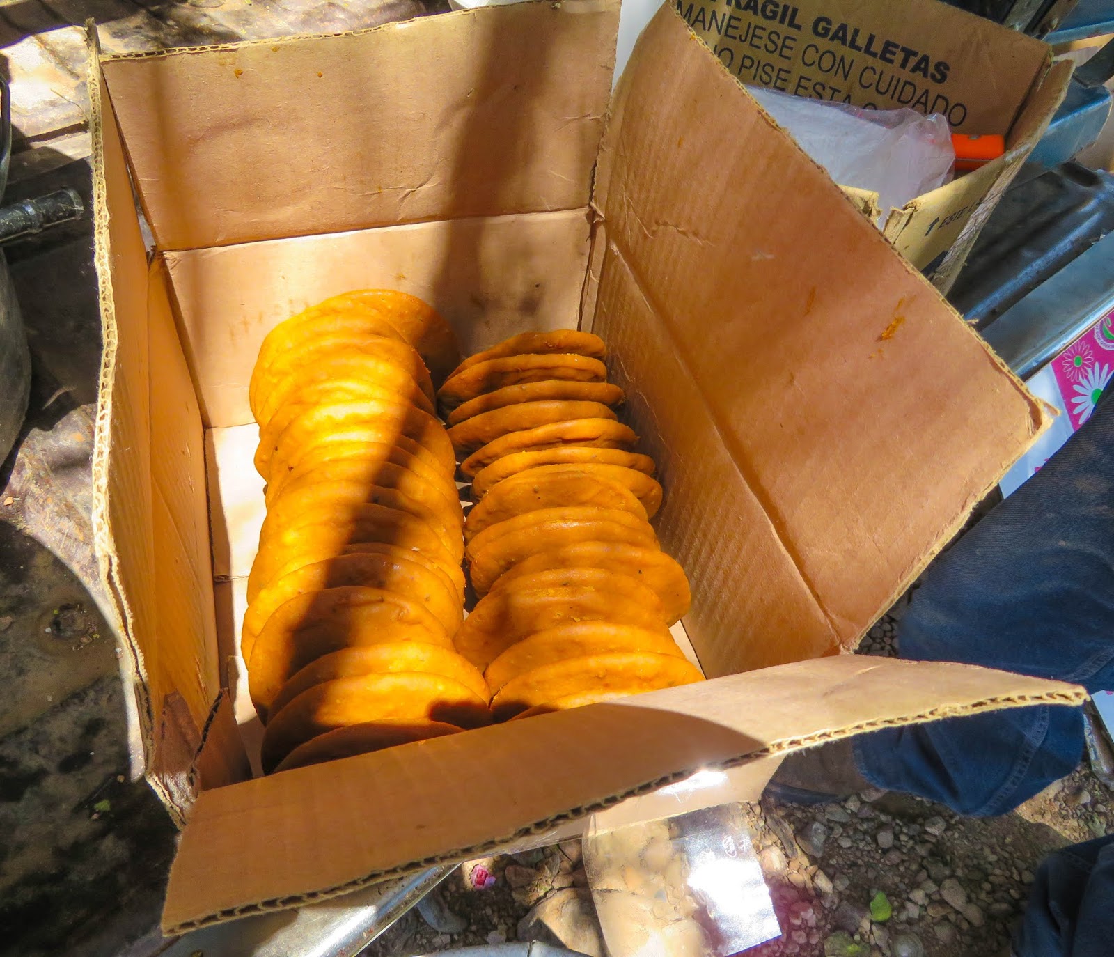 Cannundrums: Prickly Pear Cactus Cookies