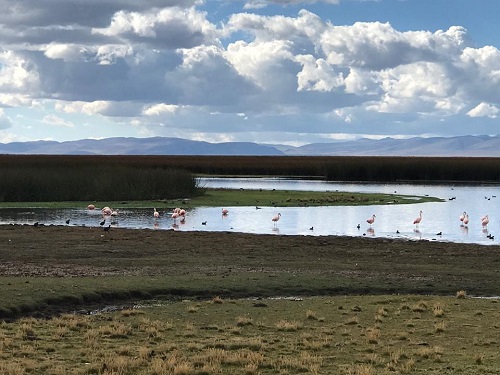 Lago de Junín en Junin