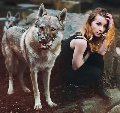 Werewolf Muzzle For Dogs, Turns Man's Best Friend Into The Scariest ...