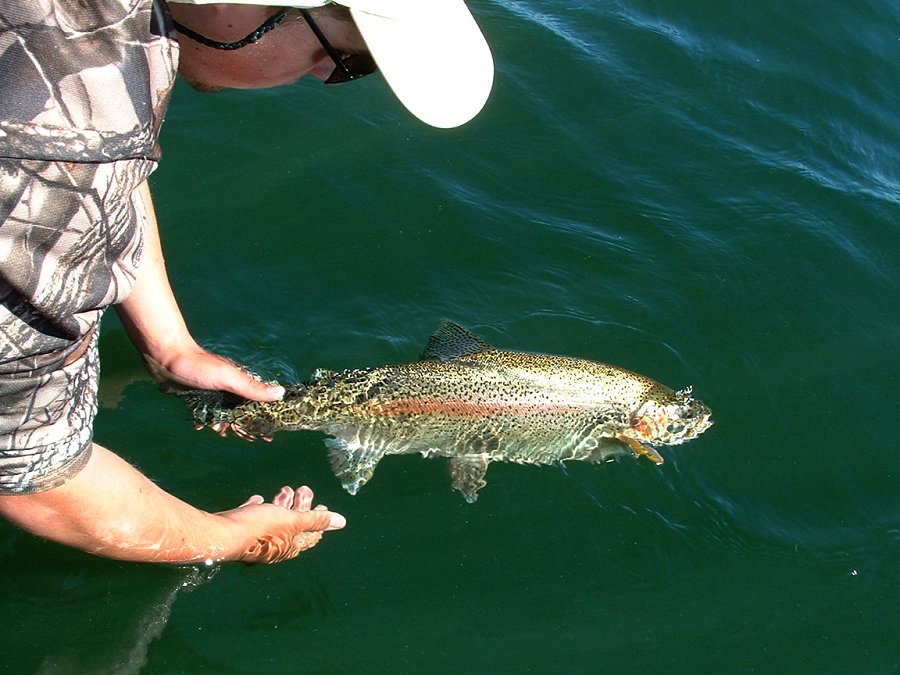 Pacific Northwest Fly Fishing: Photos