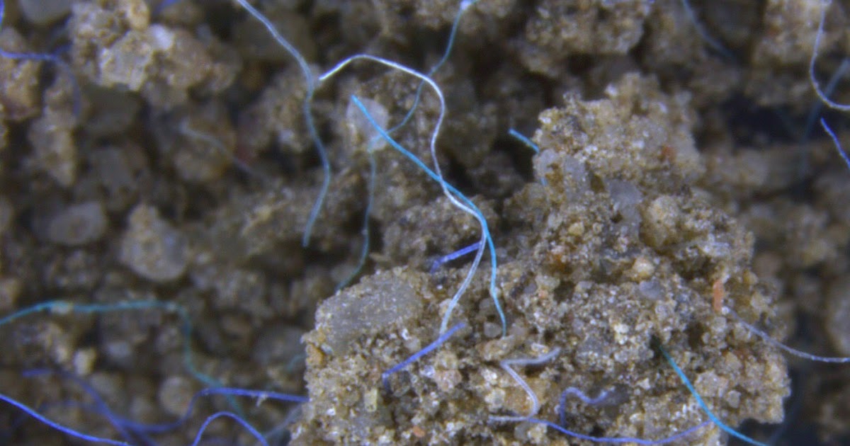 Biosolids Battle Blog: Recent research on Microplastics & Sewage Sludge ...