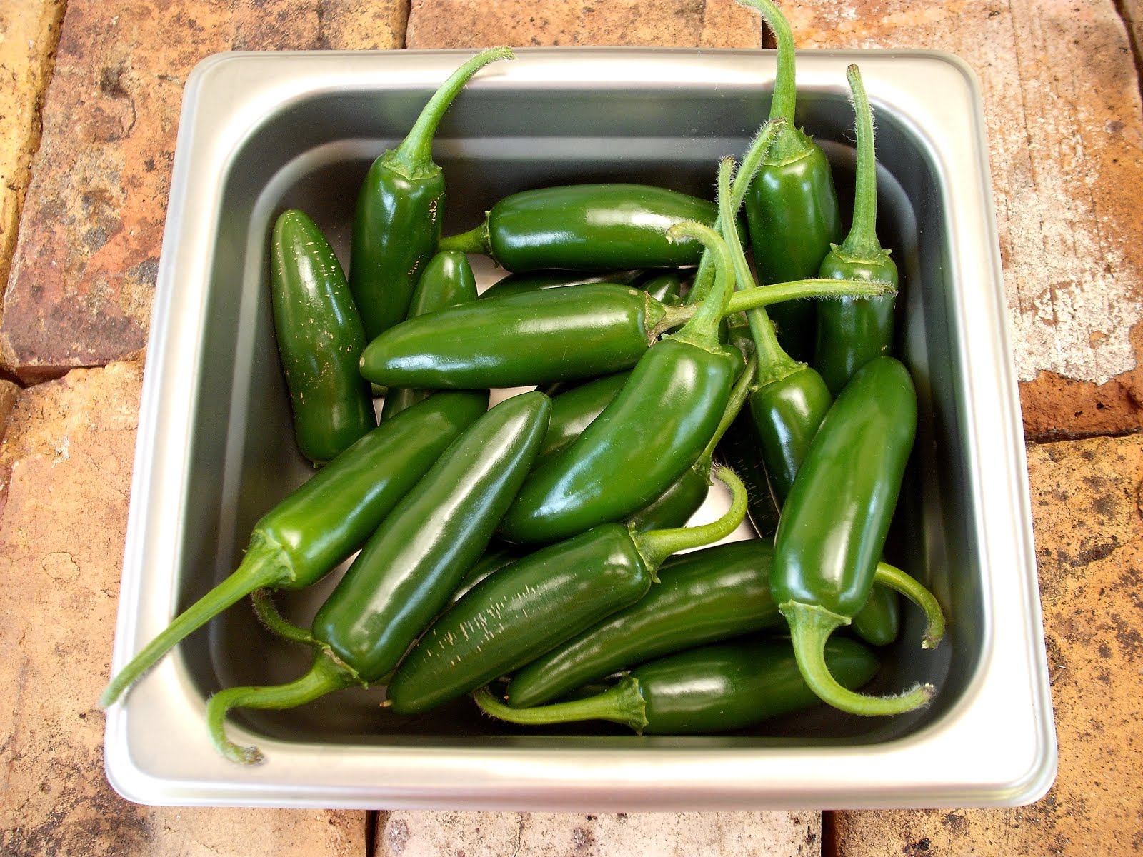 Te Toroa: the wandering albatross: Fire Roasted Serrano Chiles
