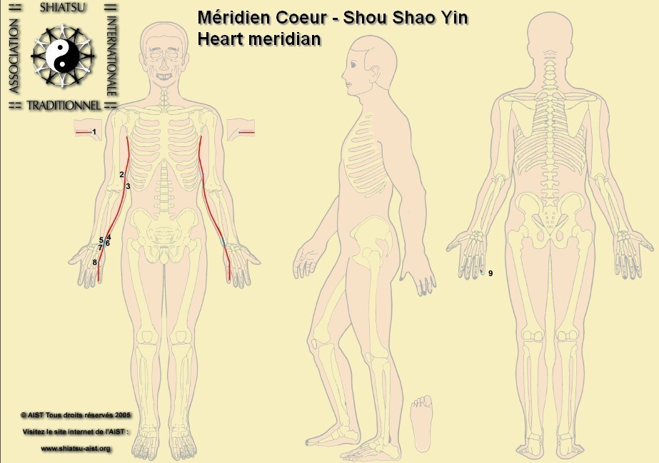 Heart Meridian Acupuncture: Point D Acupuncture Chinois – WHKRQ