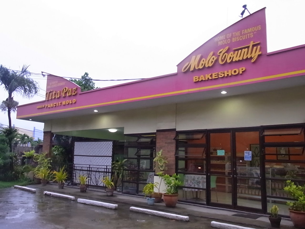 Supreme Life: Molo County: One Piping Hot Pancit Molo Please!