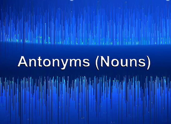 Learning Antonyms (Nouns) - Spot Black