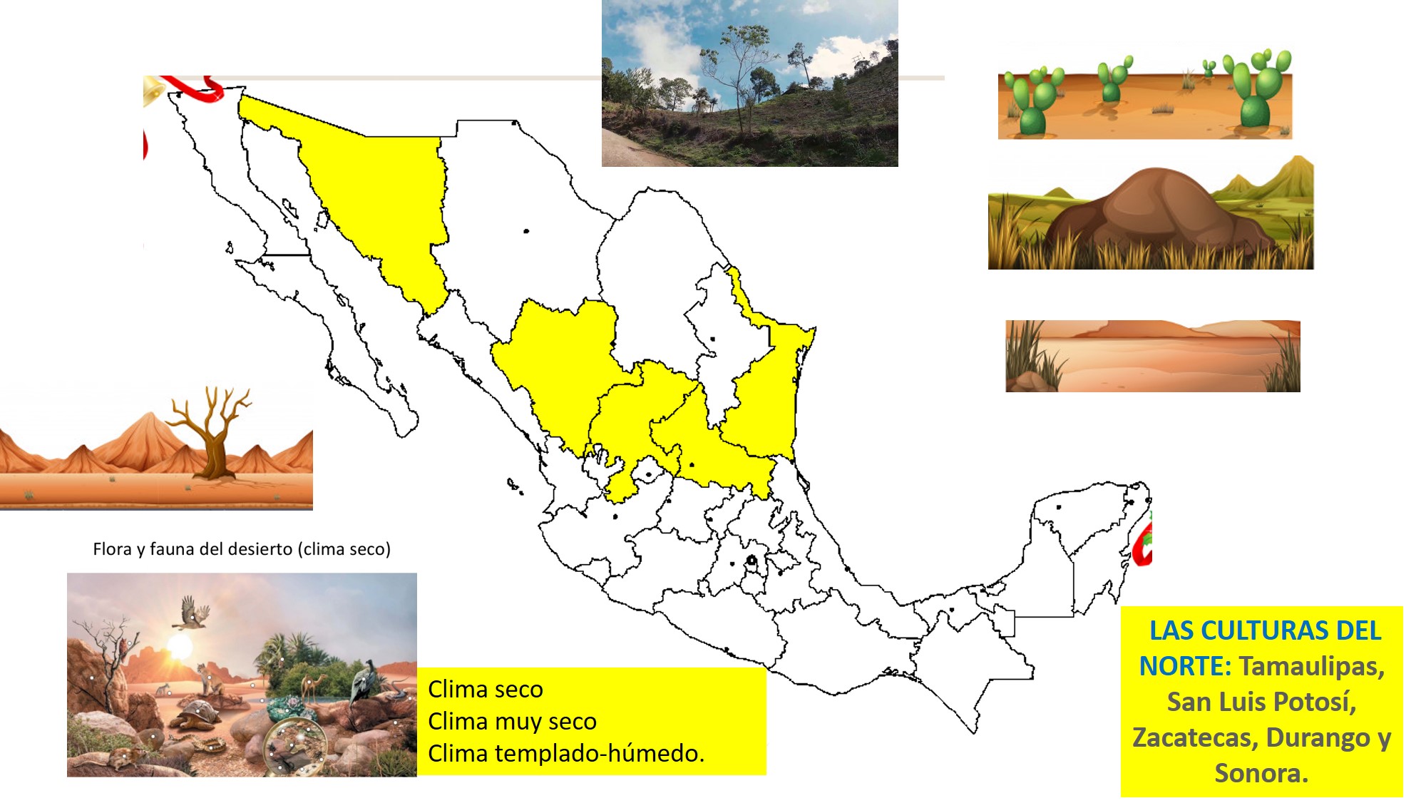 Blog de Tareas - APRENDE EN CASA: 11/28/20