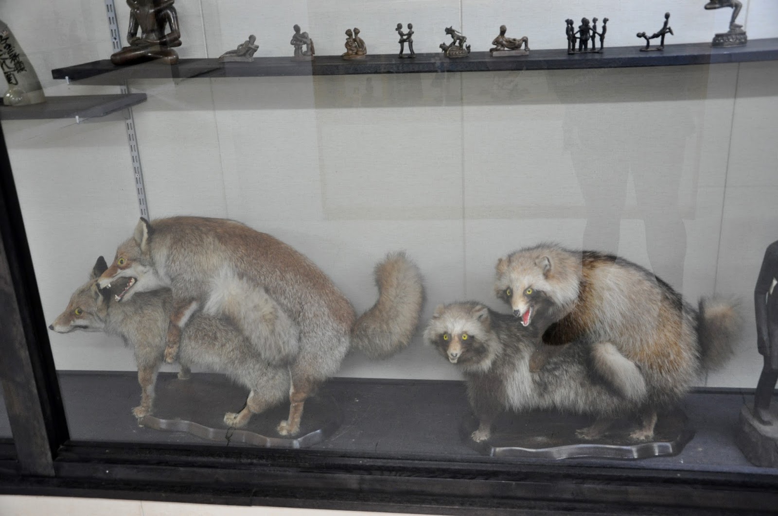 JAPANKURU: *::UNKNOWN PLEASURES::* One of Japan's Funniest Museums ☆ Go ...