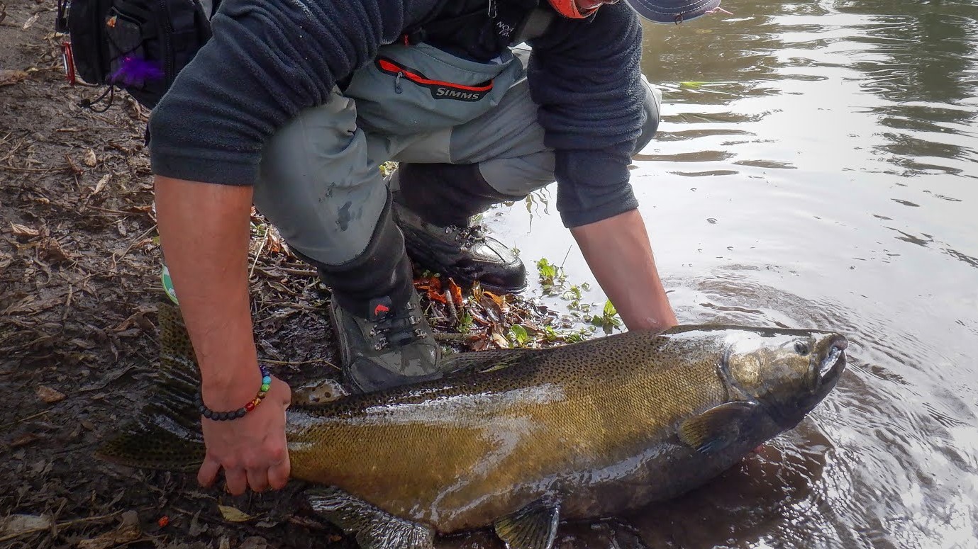 Lake Ontario Fall Salmon Run Fishing ~ Bryan Went Fishing