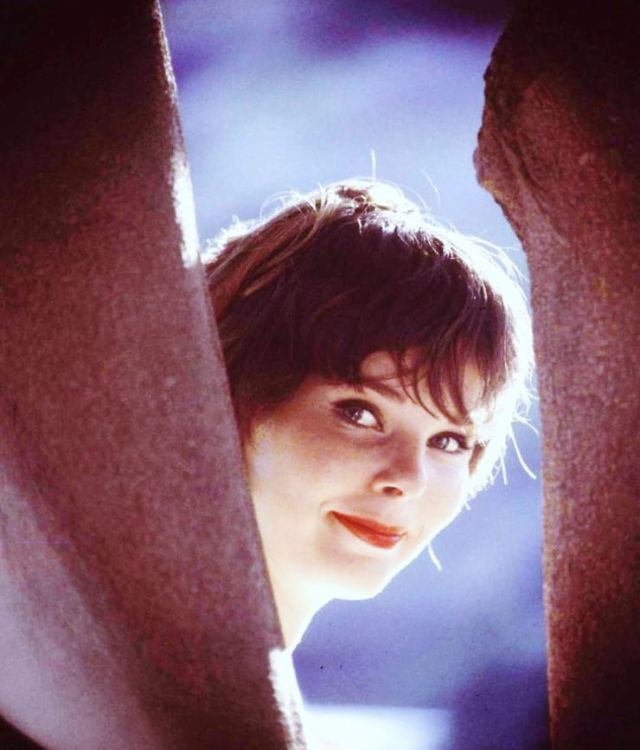 30 Glamorous Photos of Anne Helm in the 1950s and ’60s ~ Vintage Everyday