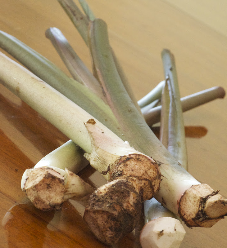 Indonesian Medan Food: Sayur Lompong (Yam Stalk cook in Coconut Milk)