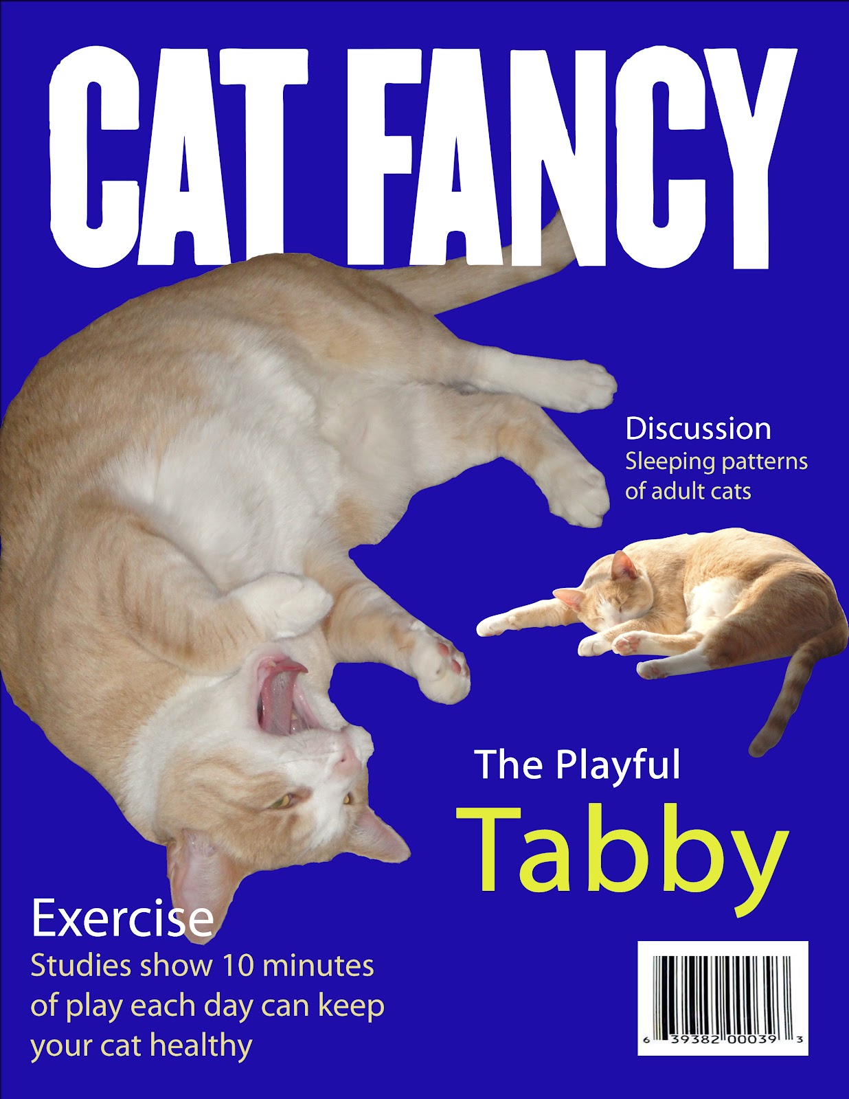 Keith's Blog: Cat Fancy