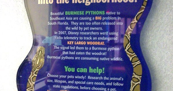 Main Street Gazette: Choose your pets wisely