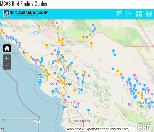 MCAS Bird Finding Guides Updated ~ Morro Coast Audubon Society