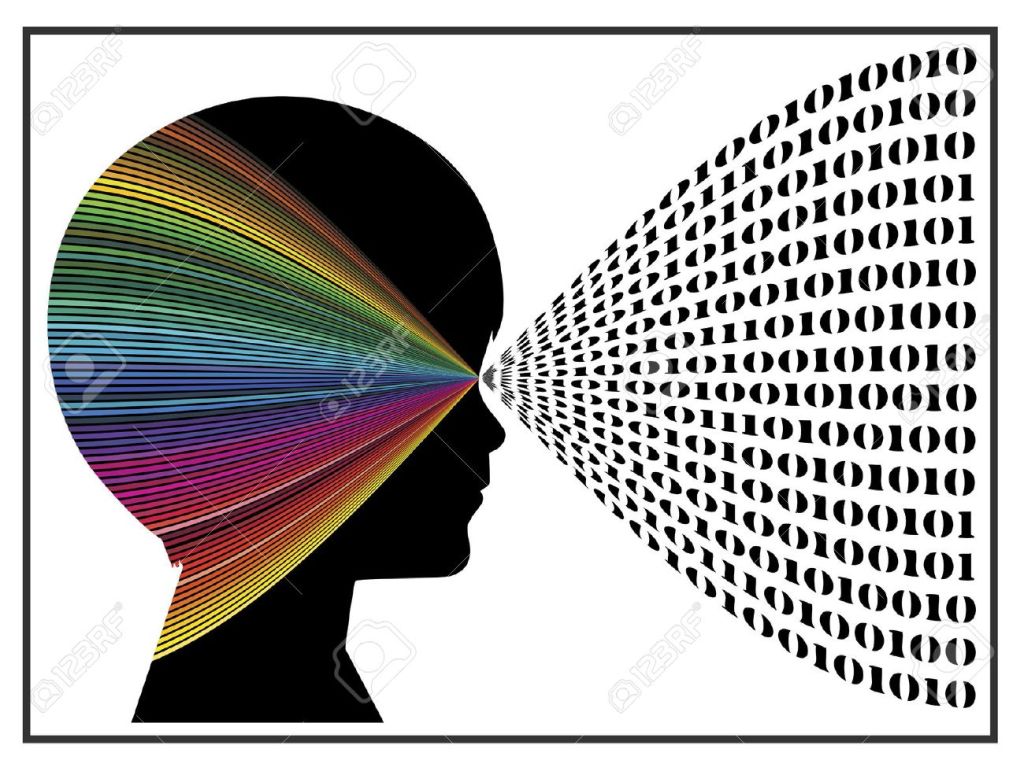 PERCEPCION Y LOS SENTIDOS