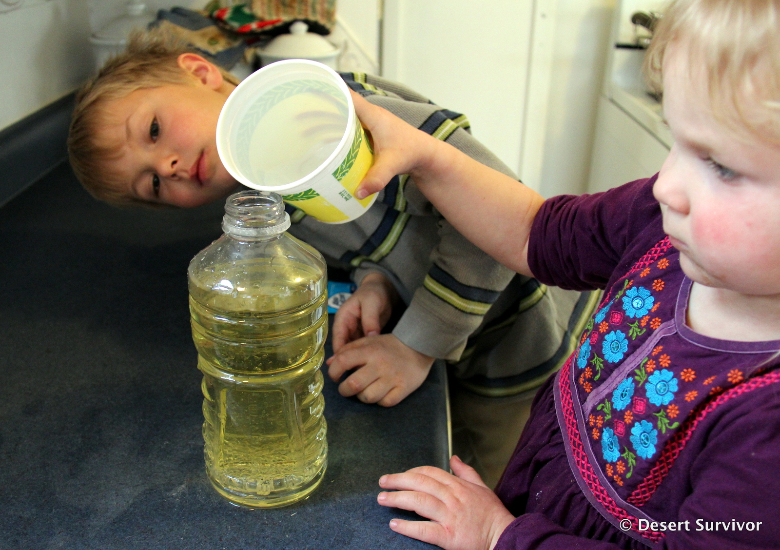 Desert Survivor: Science Experiment: Lava Lamp