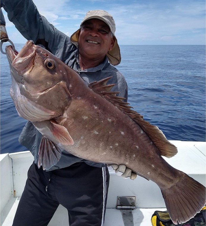 TEXTOS DE PESCA - Como é pescar no Brasil, com jigs? Como é pescar com ...