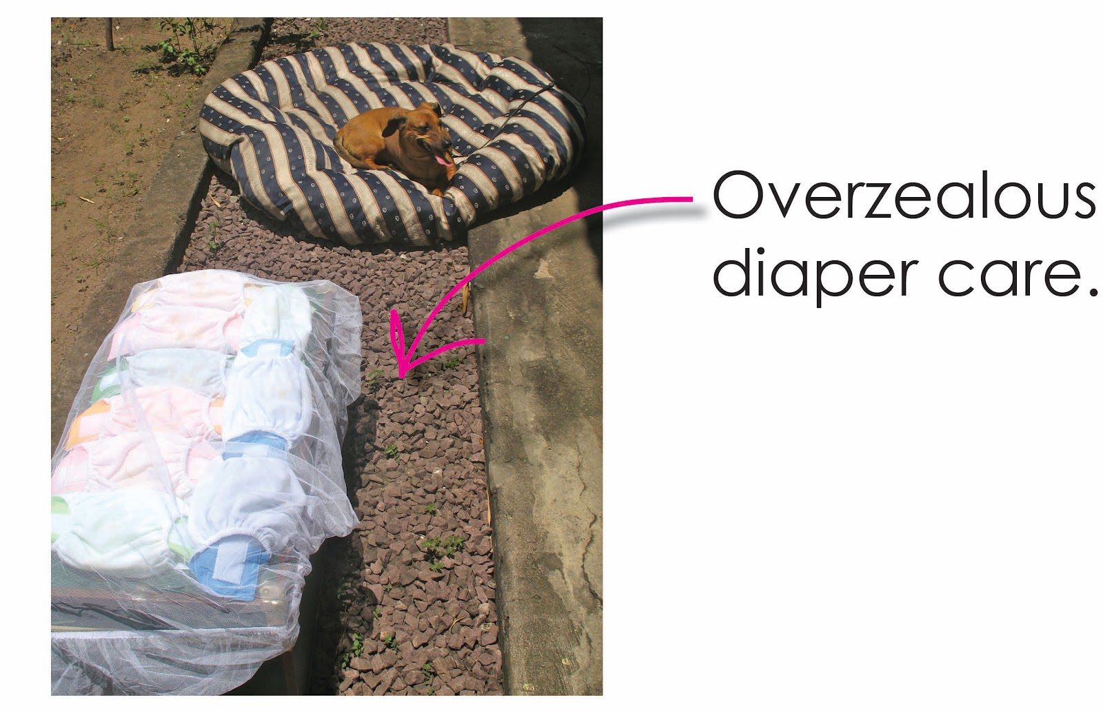 mama congo: August 2012