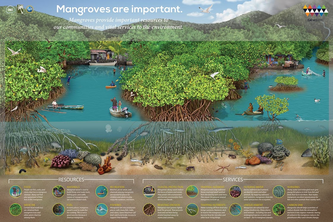 Mangrove ecosystem