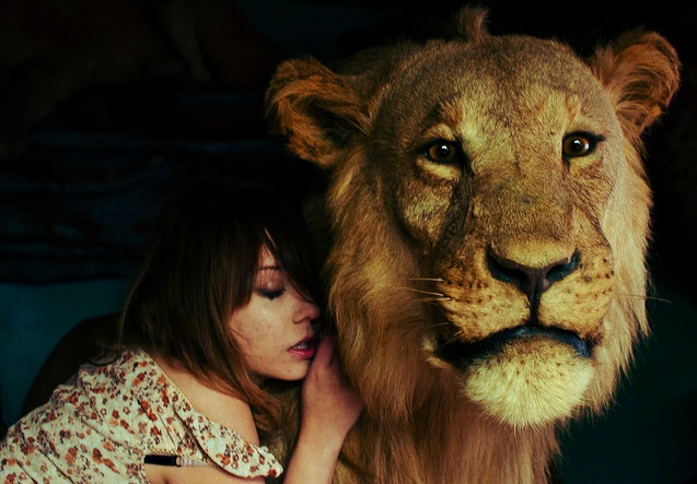 The Bluebirds are singing and the Foxes are a howling: CARI ANN WAYMAN