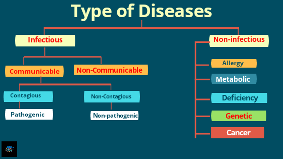 Diseases Explore Different Types Of Disease And Their Causes