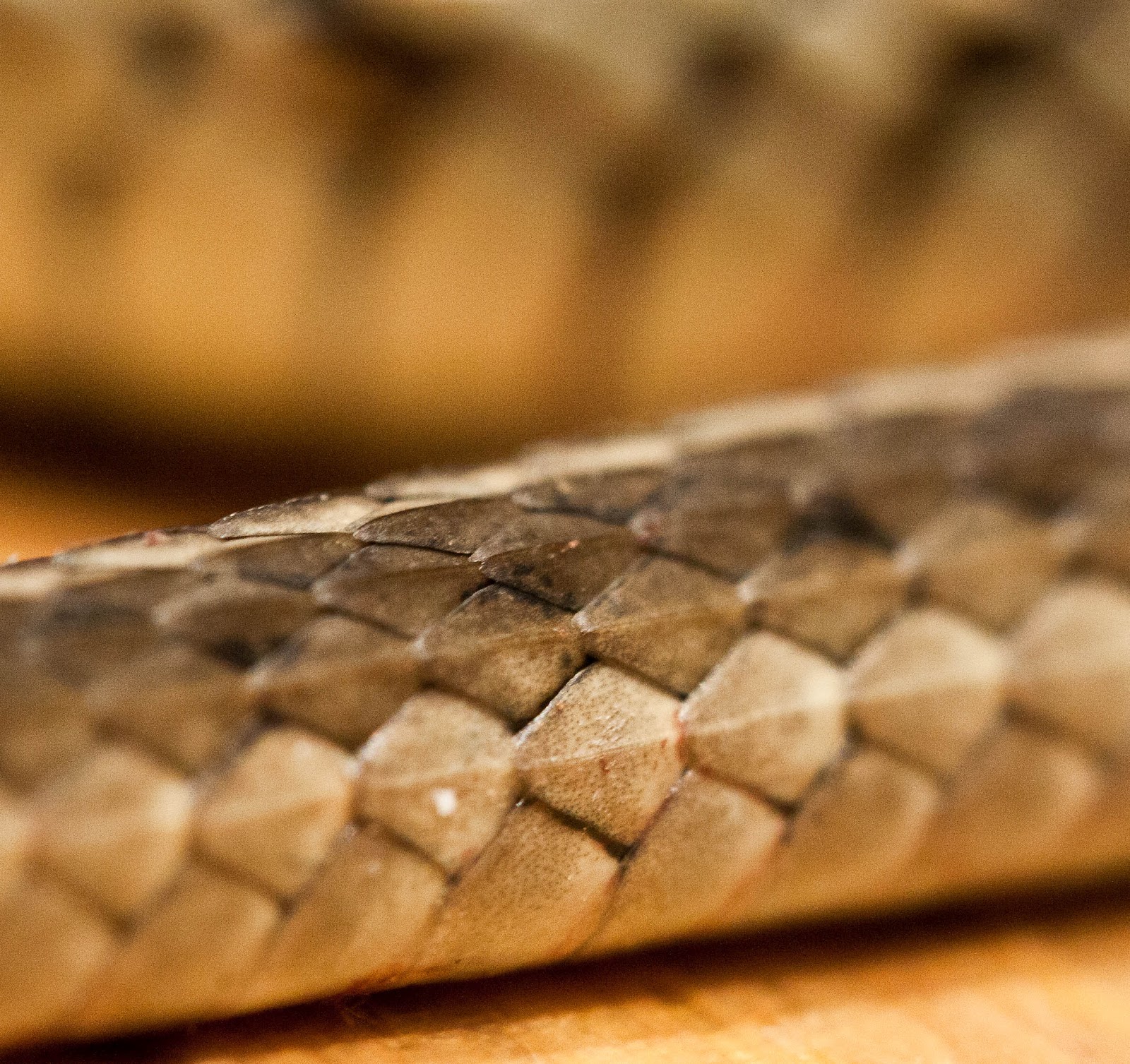 Gayle Tales: The Last Laugh is on Me!