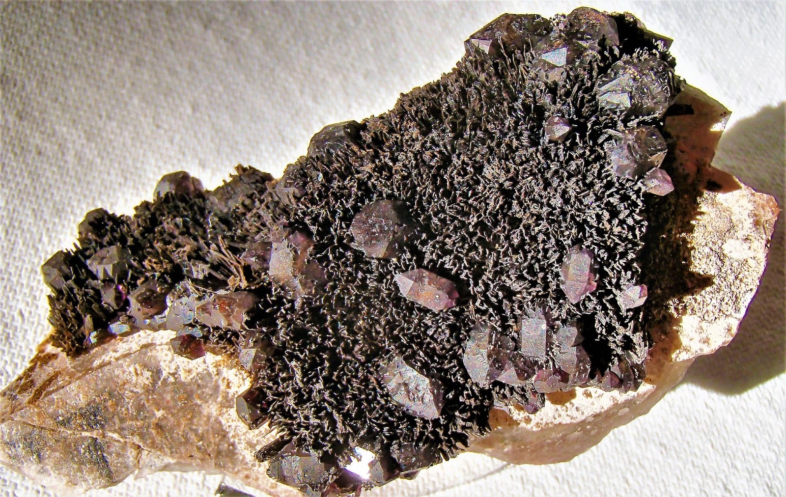 Rockhounding the Rockies: Three Rock Hounding Trips to Lake George, CO ...