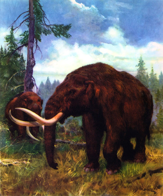 Mark P. Witton's Blog: The "palaeontological folklore" of mastodon hair