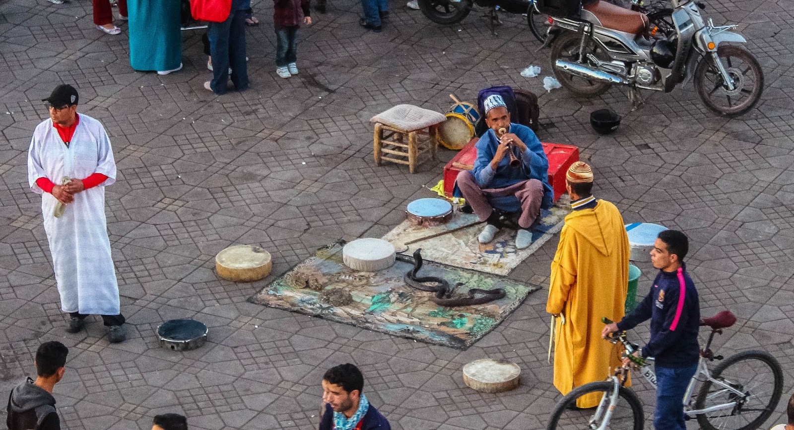 Cannundrums: Snake Charmers of Morocco - Egyptian Cobras and Puff Adders