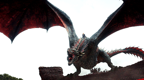 La Biblioteca de la Bella e la Bestia: "Throne Of Glass Series" by ...